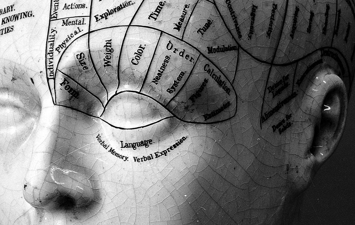 Microsoft and Google’s Map of Your (AI) Mind | by Scott Broock | Medium