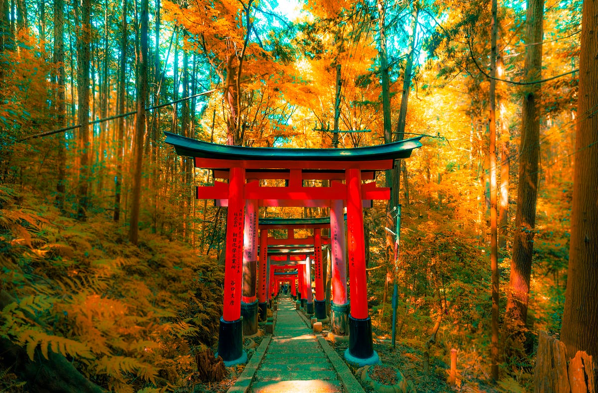 Shintoism and Buddhism in my fiction | by Odessa Silver | Jul, 2023 ...