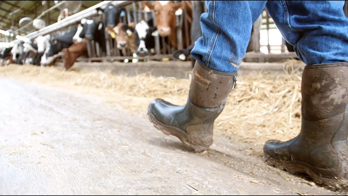 Les bottes à marde | by CodingPartner | Bee.Software | Medium