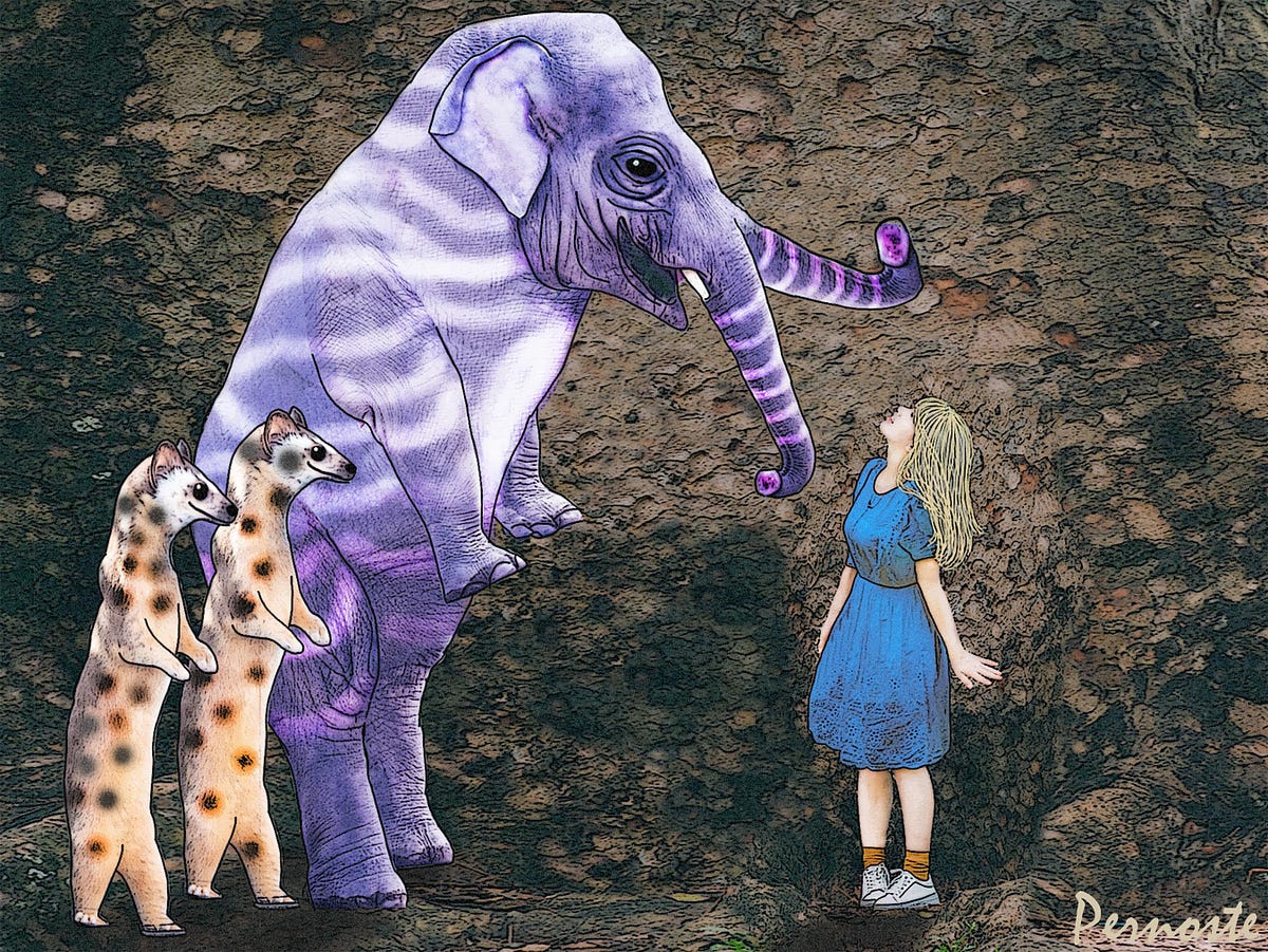 Alice in Pooh Land. It was a lovely day to sit by the… | by Pernoste ...