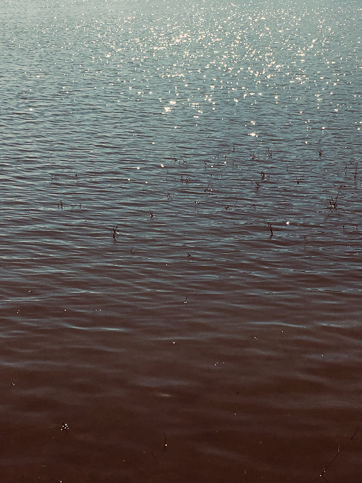 sunday morning haiku. sometimes you will know | by Nicholas Petrone ...