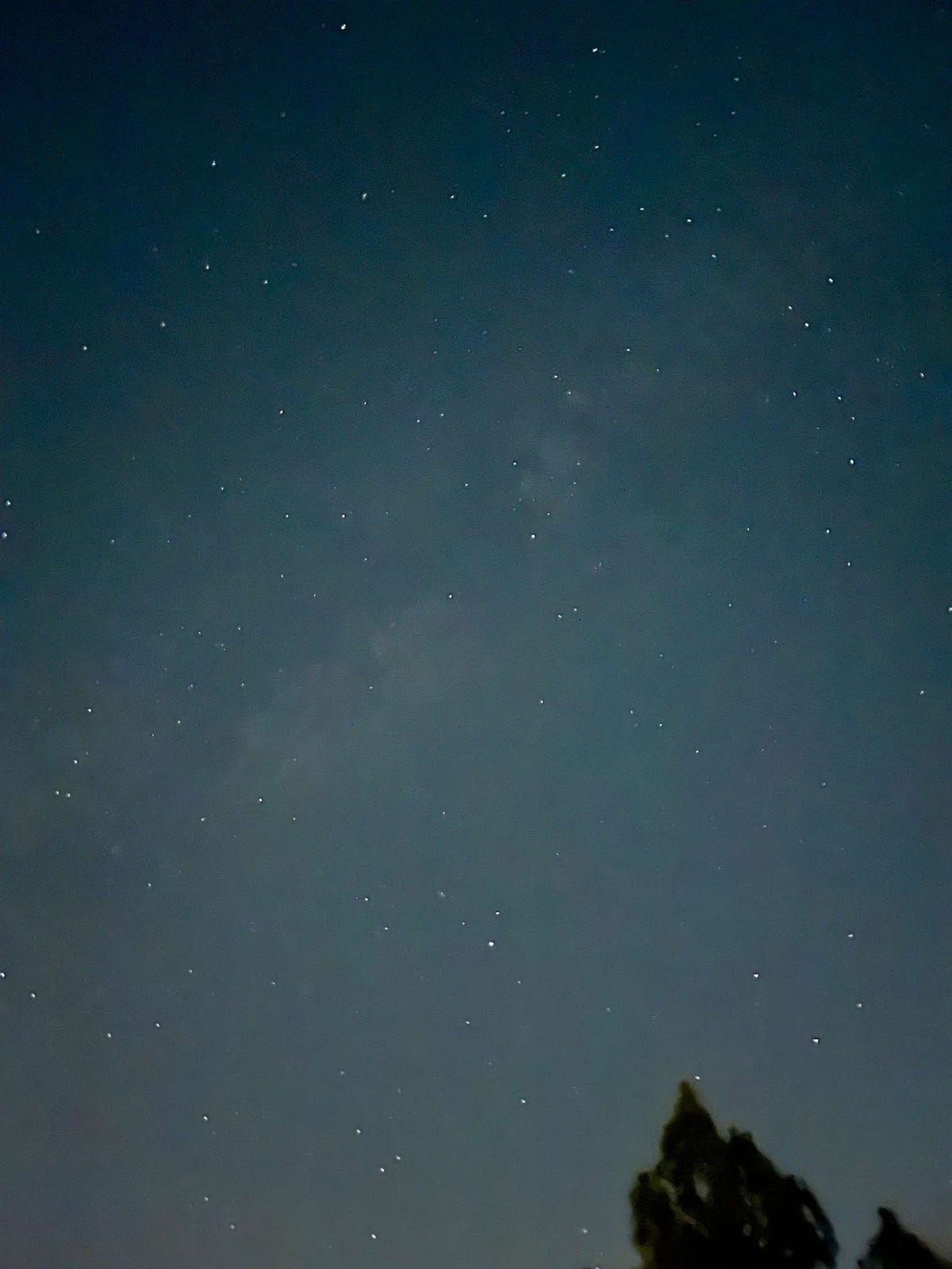 starry starry night, paint your palette blue and grey - lily - Medium