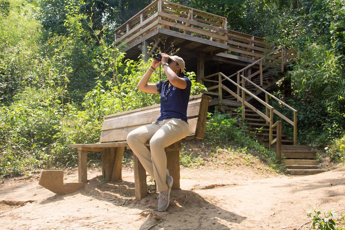 Exploring Guanacaste National Park in Belmopan | by Caribbean Culture ...
