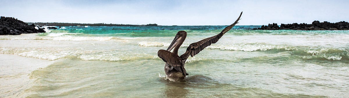 On Appropriate Luxury. By Jon Jarred | by The Bucketlist, Ecuador | Medium