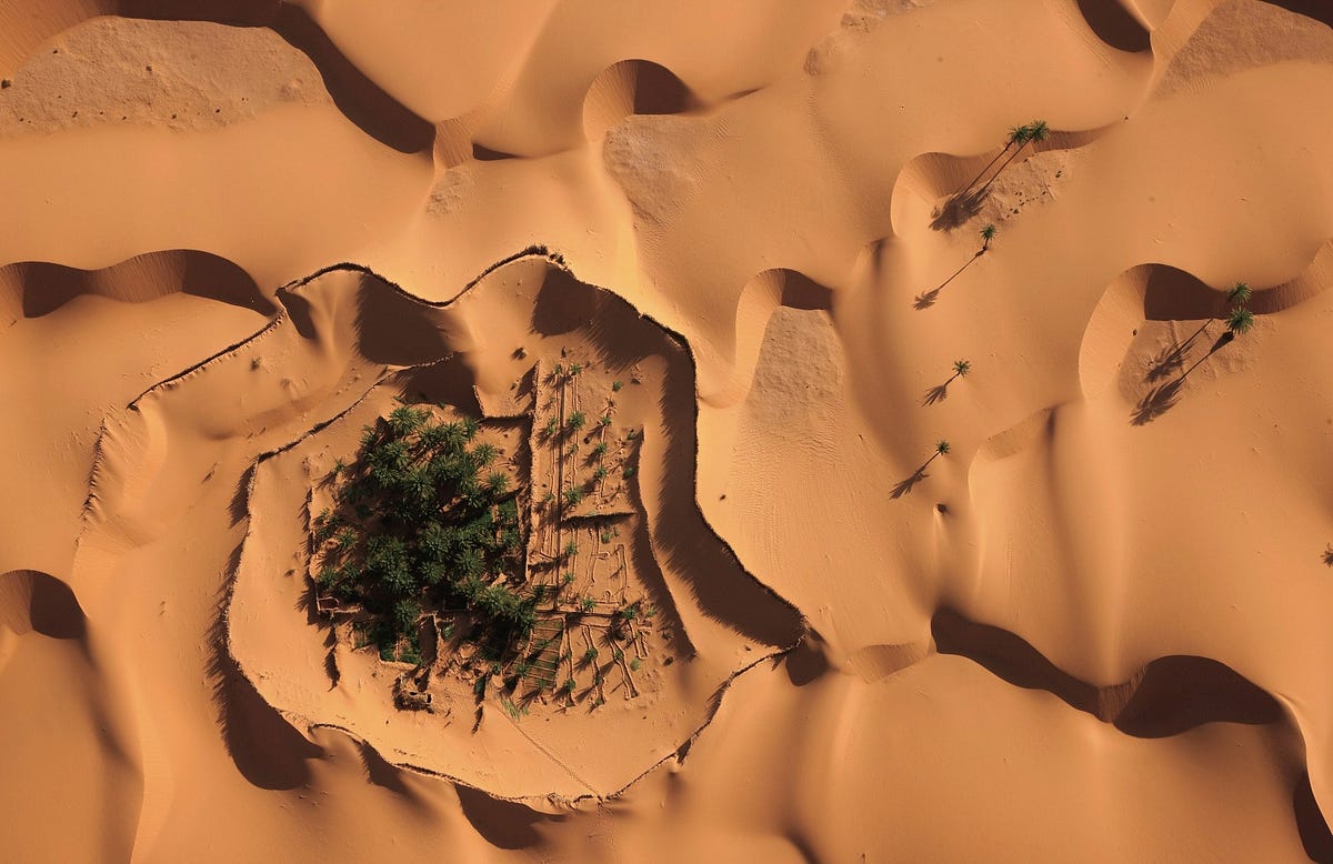 Desert Oasis (World’s Renowned Desert Land) | by Khalid Iqbal | Medium