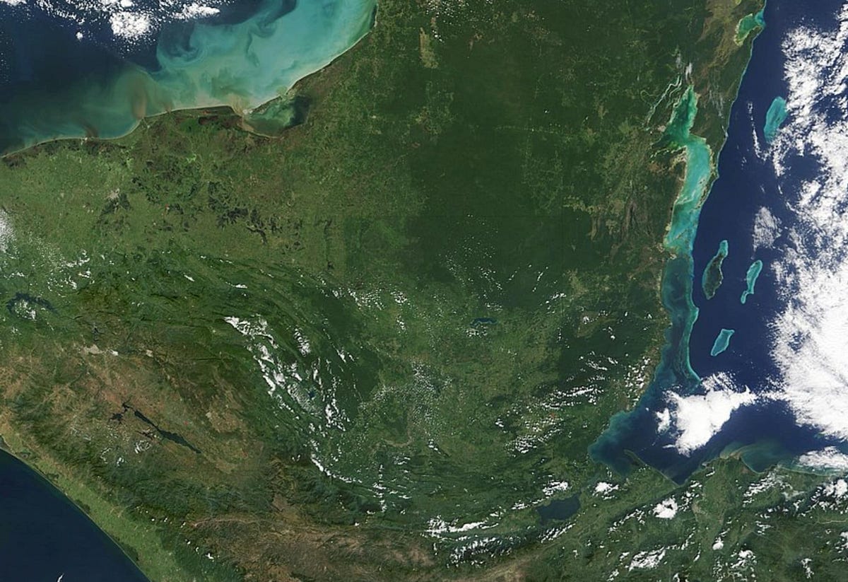 Ancient Fish-Trapping Canals Discovered by Drone Archaeology in Belize ...
