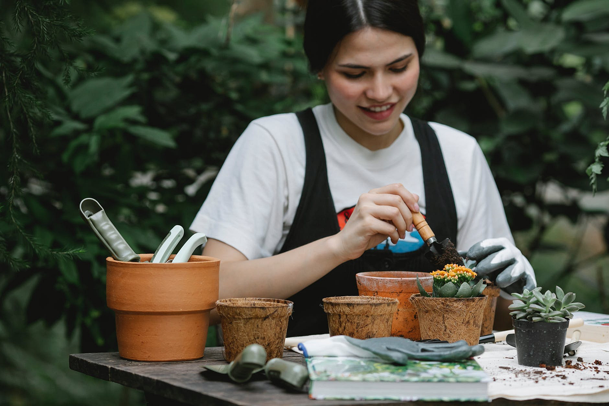 Tanam Satu Pohon Di Rumah Upaya Selamatkan Bumi | by Rahsa Nusantara ...