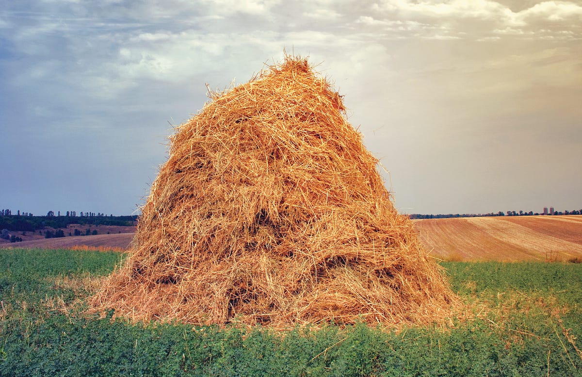 Needles In Haystacks. Trying to talk seriously about American… | by ...