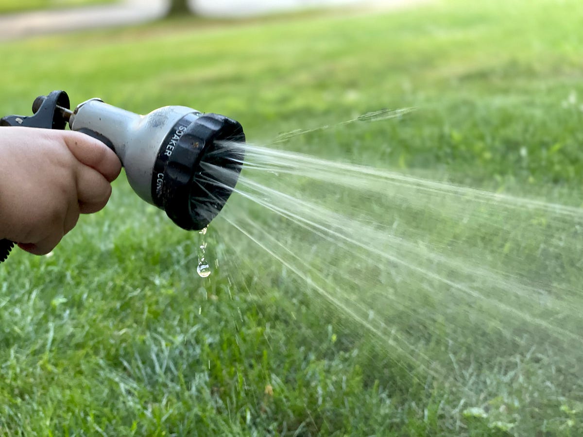 How To Water Your Grass A Guide To Happiness And Fulfillment By Lorenzo Makoy Jun 2023