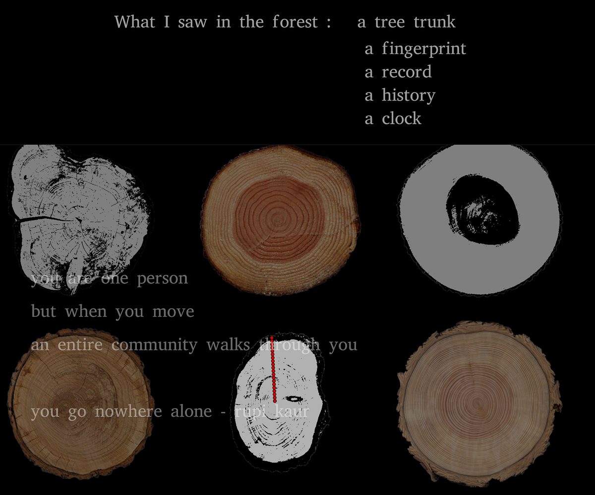 Tree Clocks: an interactive rhythm and language work | by MIT Media Lab ...
