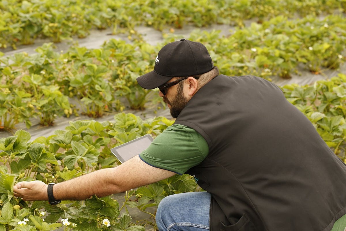 Agronnect — Modern Solution for Modern Farming | by Agronnect | Medium