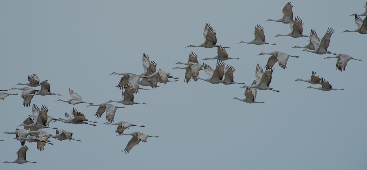 Why The Millennial Migration From Church Is An Absolute Myth | by Isaac ...