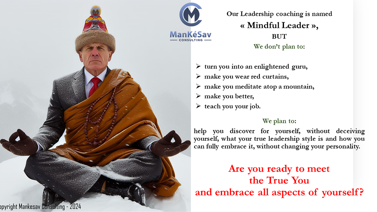 001 Leadership 1 EN long - Mankesav Global - Medium