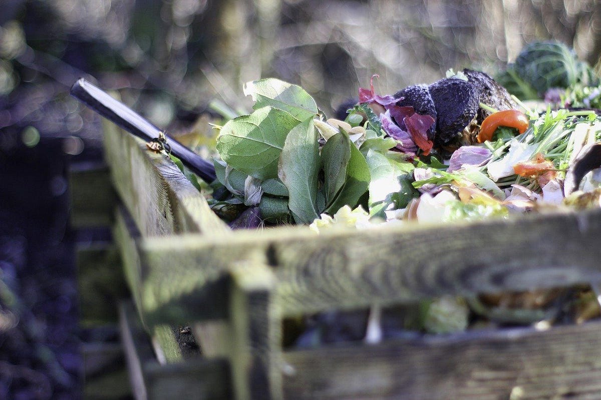 Cooking at Home More? Here’s What to Do with your Scraps | by Pedram ...