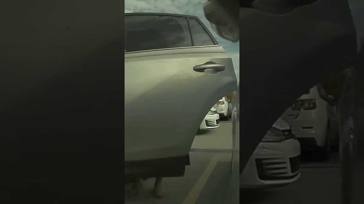 Door ding caught in TeslaCam.Door Ding Caught on Tesla Cam | Teslacam ...