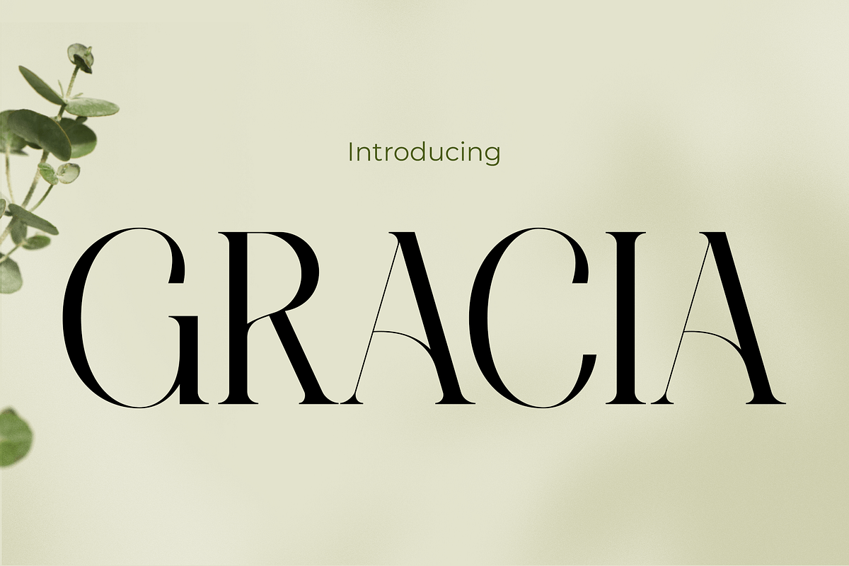 Gracia Font (Serif Fonts) | by Cyberceleste | May, 2024 | Medium