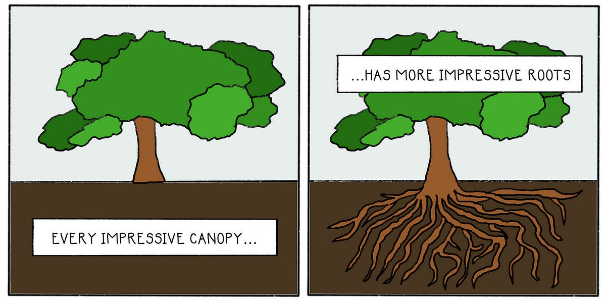 Rootwork. How to build the foundation for growth | by Justin Anderson ...