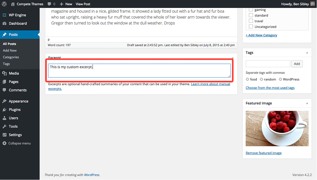 How To Customize WordPress Post Excerpts? | by Visualmodo | visualmodo | Medium