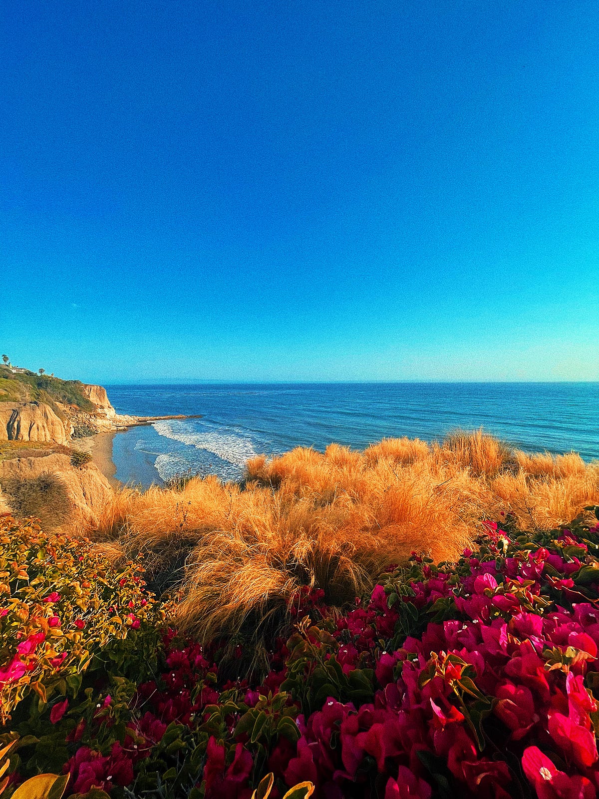 Today is a Glorious Day - Creativity-101 - Medium