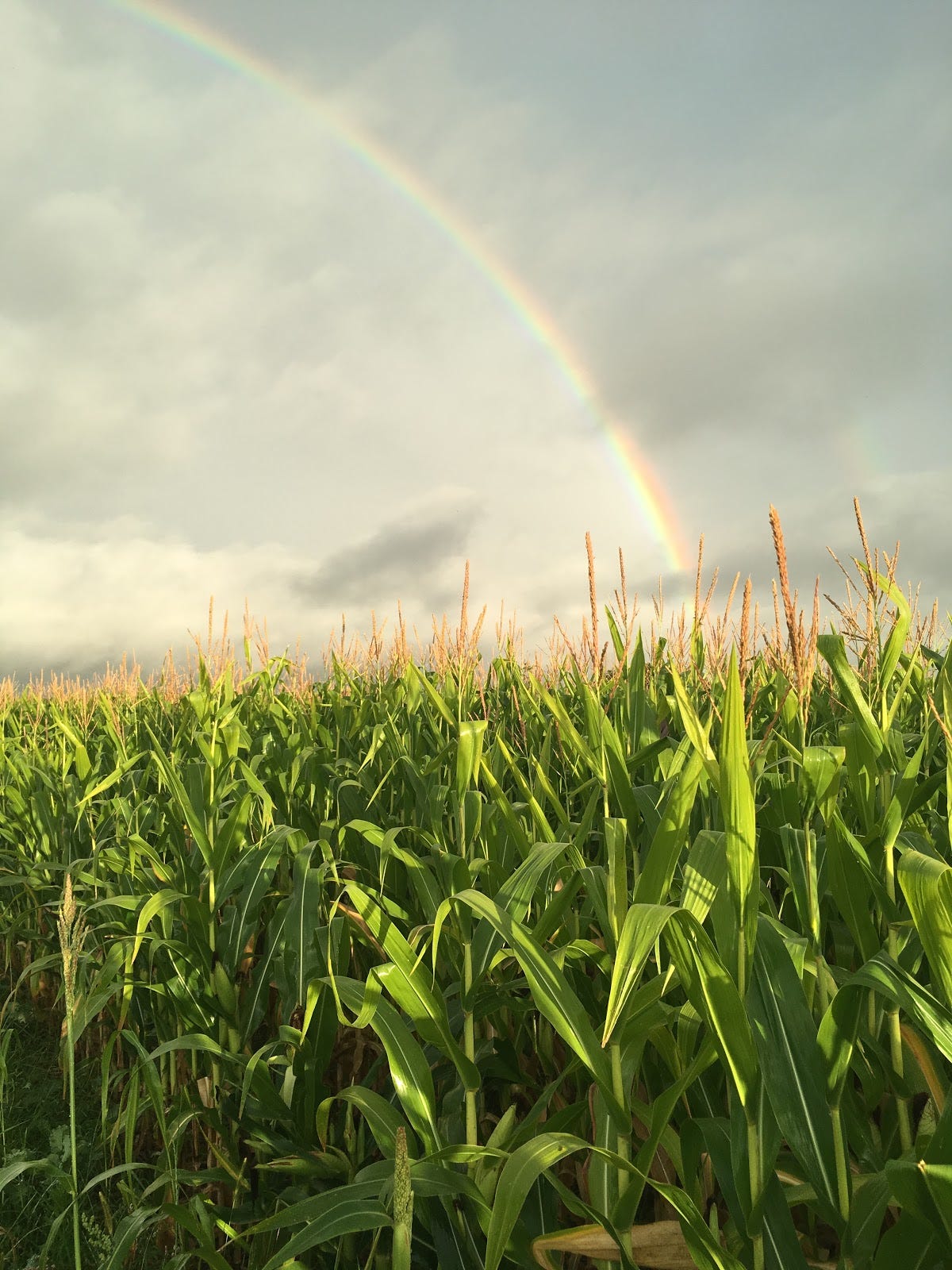 Looking Slightly Away: How Time Away From the GSB Brought Me More Fully ...