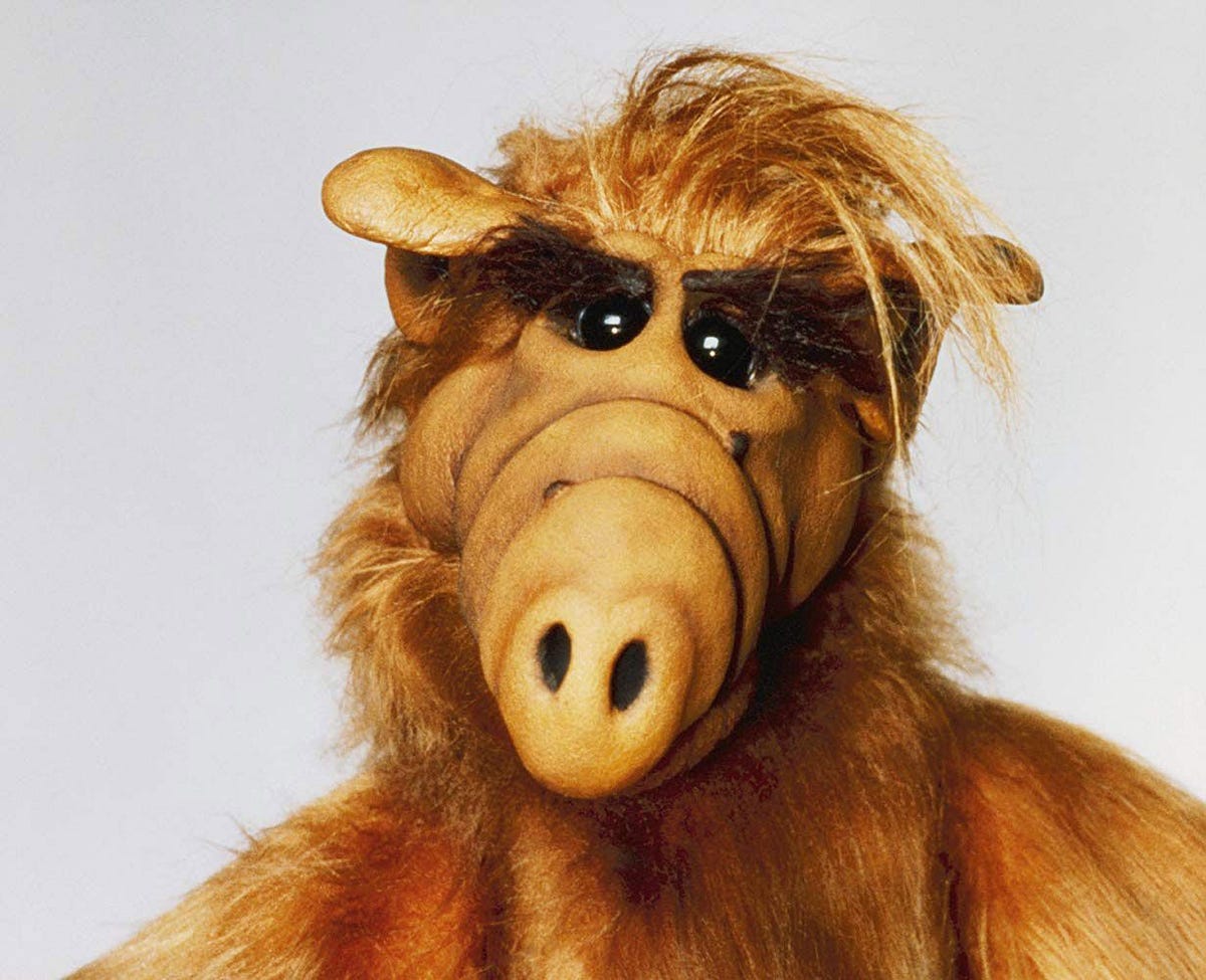 “ALF” Issues That Make Us Scratch Our Heads | by Jessica Kosinski | Medium