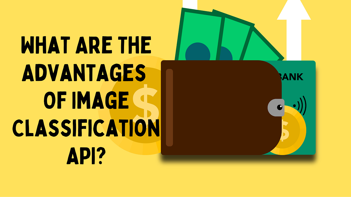 How Image Classification API Can Save Your Money And Time | by TheStartupFounder.com | Medium