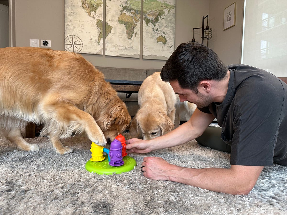 Pet Enrichment: Toys, Games, and Activities to Keep Your Animals ...