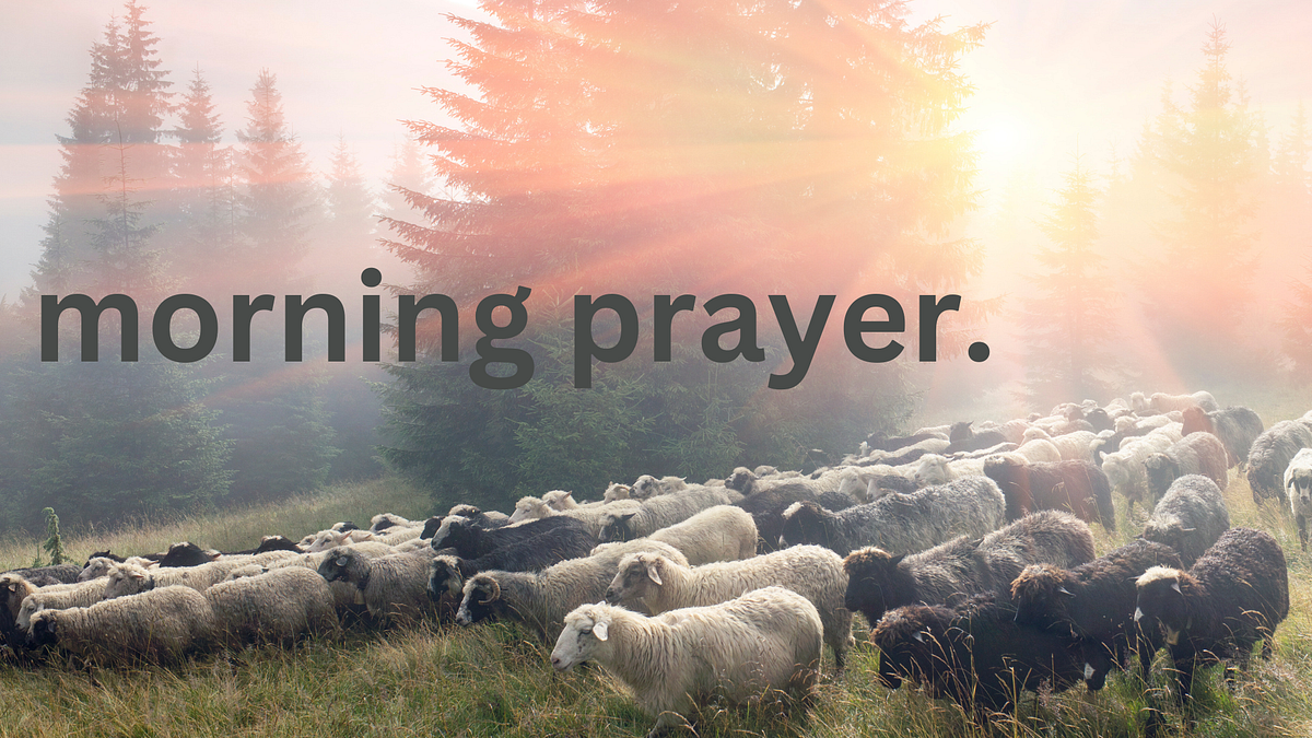 Morning Prayer — Philippians 3:. Dear Heavenly Father, | by Pastor Rich ...