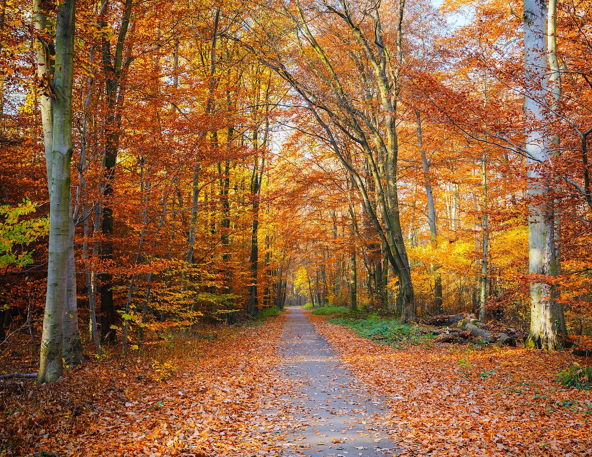Gradual and Graceful Transformation | by William Vatterott | Medium