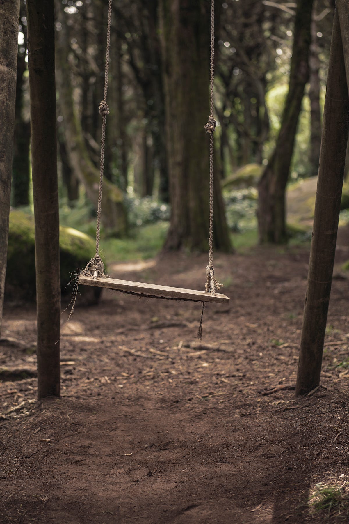 Haiku: Broken Swing. Broken swing in wind | by Charles Beuck | Haiku ...
