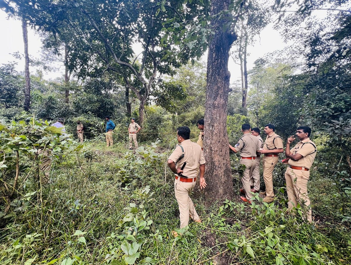 Forest Officers Explain How USAID’s Technologies Helped Address Multiple Challenges | by Forest ...
