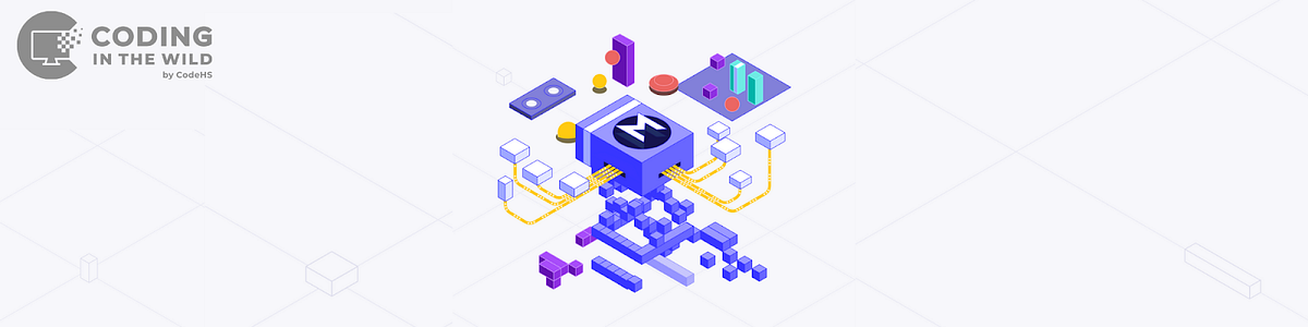 Coding for NFT Intelligence. By Irina Stanescu, Software Engineer at ...