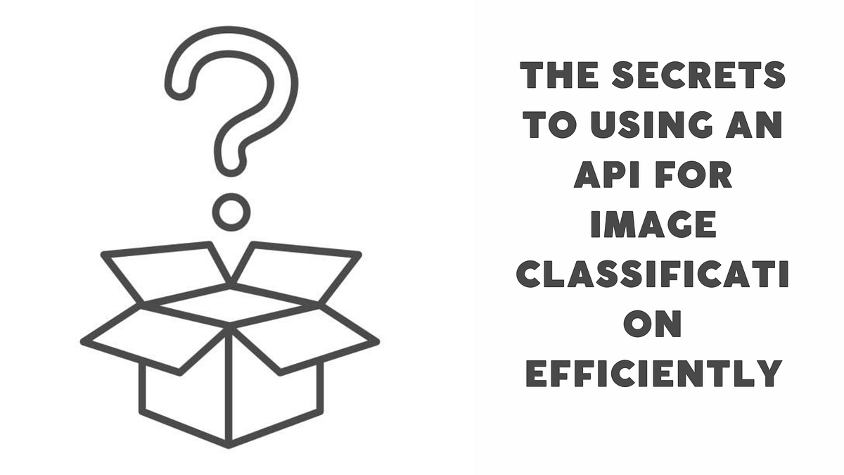 The Secrets To Using An API For Image Classification Efficiently | by TheStartupFounder.com | Medium