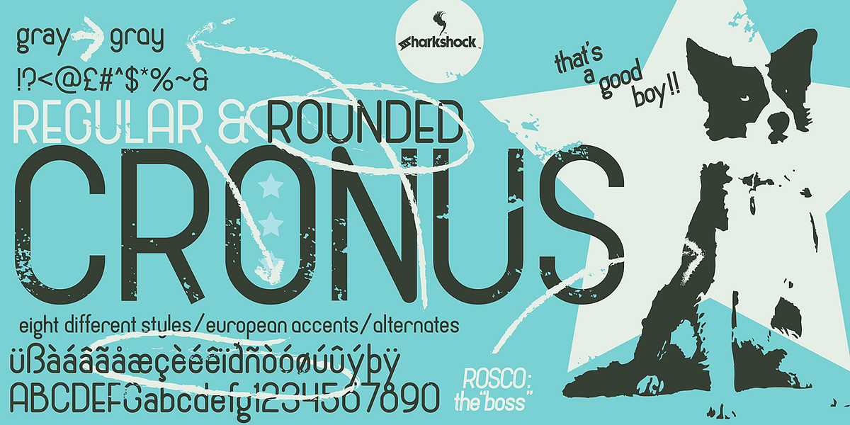 Cronus Font | by Byteballadeer | Jul, 2024 | Medium