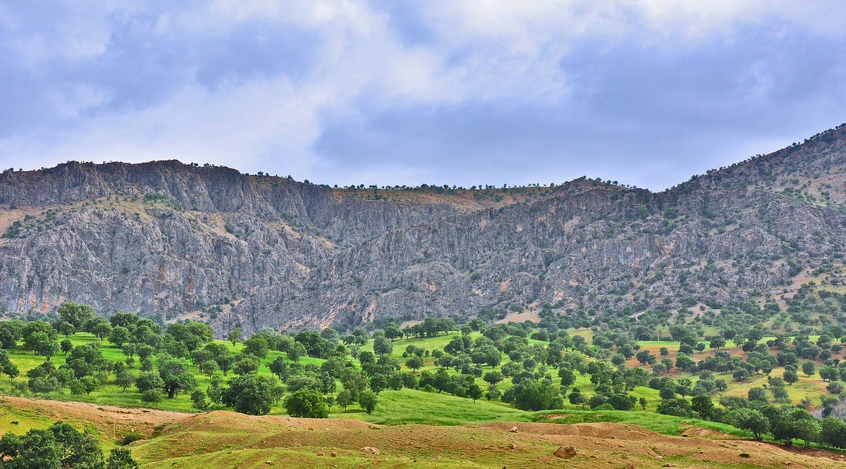 The challenge facing the Zagros forests of Iran: balancing ecological ...