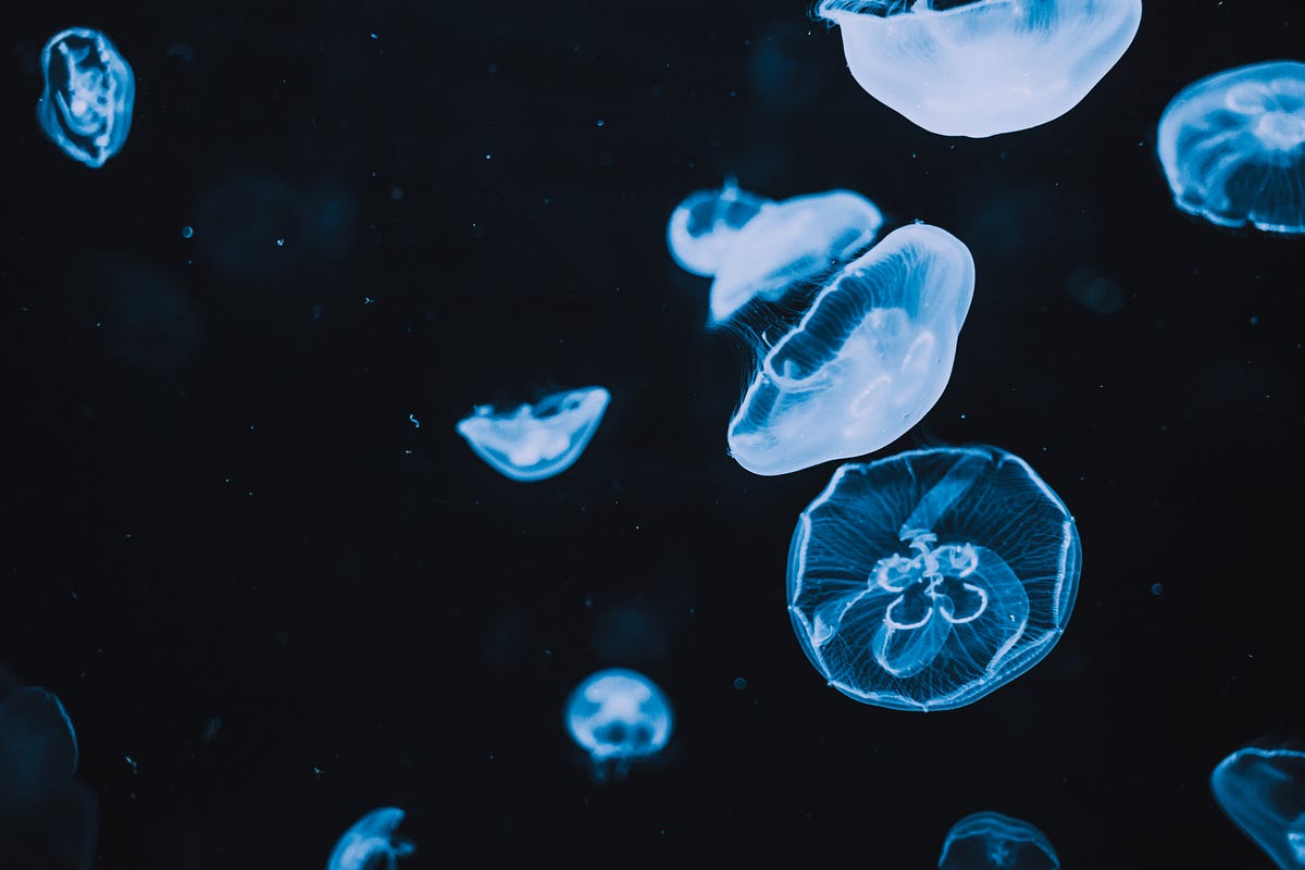 Sql Unit Testing In Bigquery Here Is A Tutorial By 💡mike Shakhomirov Towards Data Science
