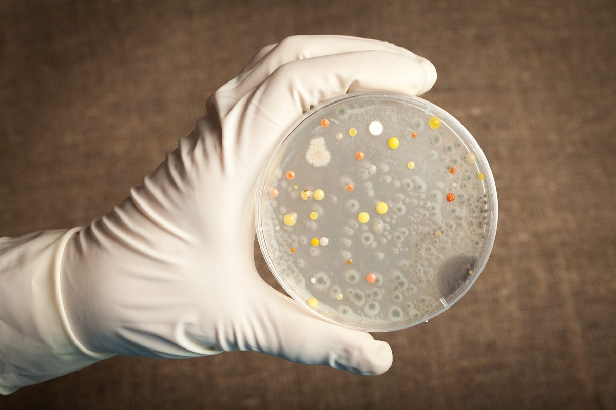 Does Commercial Cleaning really take away Germs and Bacteria from work ...