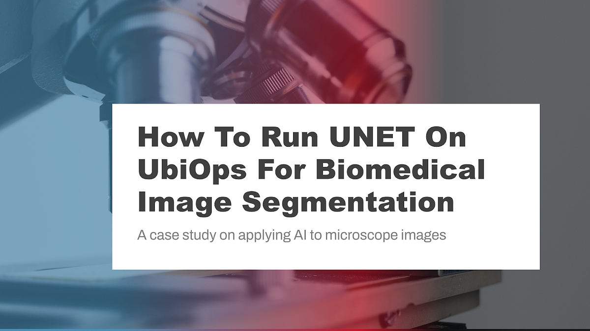 How To Run UNET On UbiOps For Biomedical Image Segmentation | by Alexander Neutel | UbiOps-tech ...