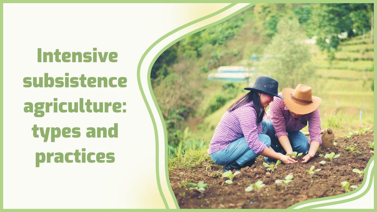 Types Of Subsistence Farming What Is Commercial Farming?