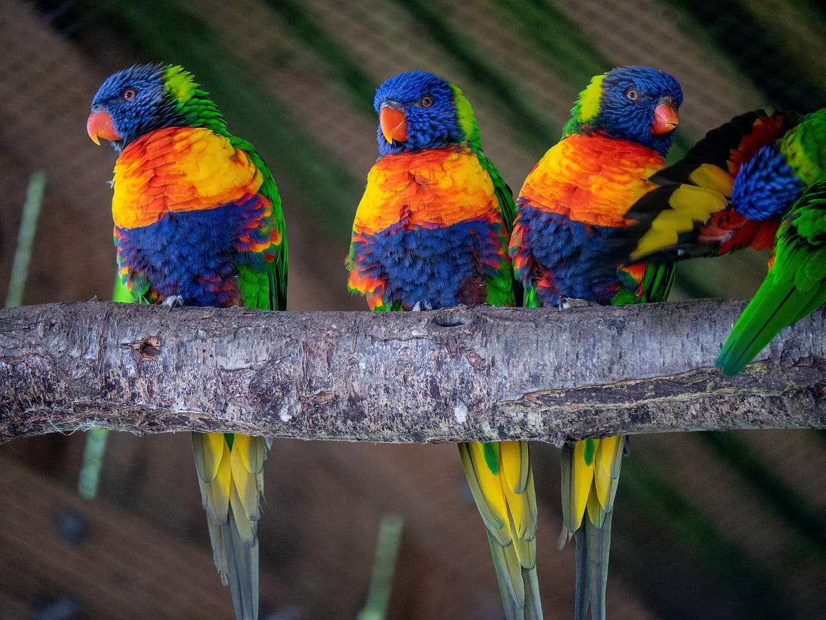 My Top Medium Writers. Please don’t make me choose! May Mania… | by ...