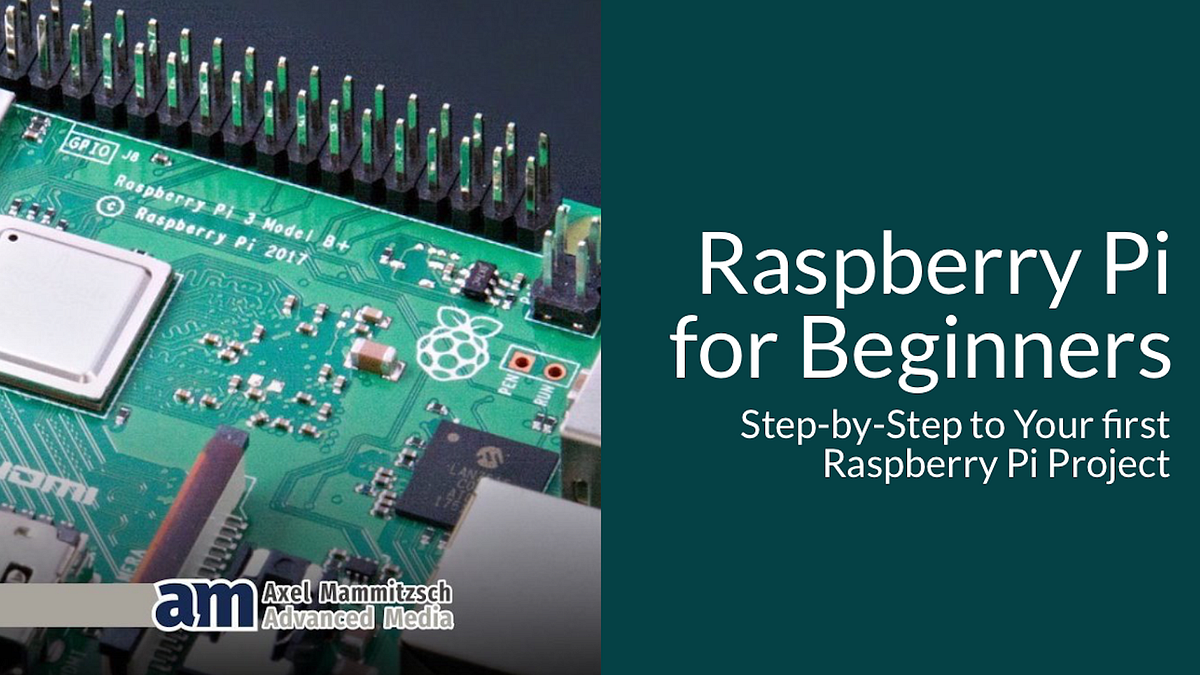 Raspberry Pi Zero Projects. In this article, I want to tell you… | by ...