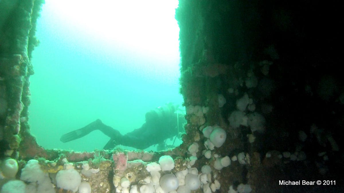 Saturday Yukon Dive: Inside Looking Out | by Michael Bear | Rapture of ...