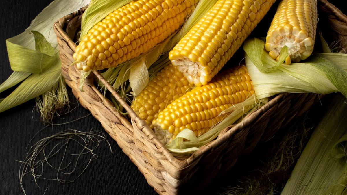Best API To Stay Updated On Corn Mar 2024 | by TheStartupFounder.com ...