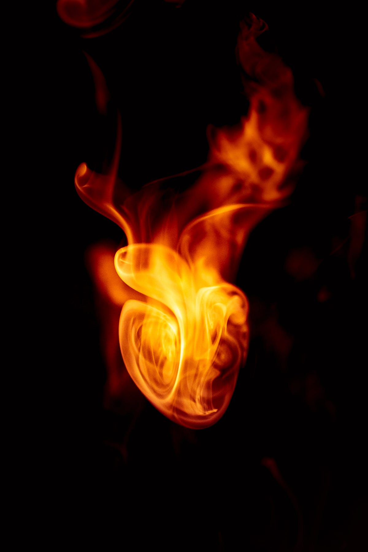 The Beauty of Passion. Photo by Marek Piwnicki on Unsplash | by Dillon ...