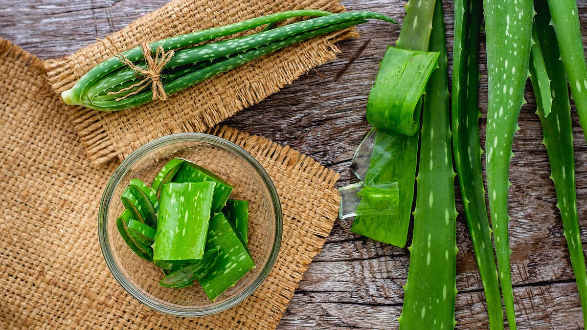 Aloe Vera: The Secret Of Beauty. Now days we are very conscious about ...
