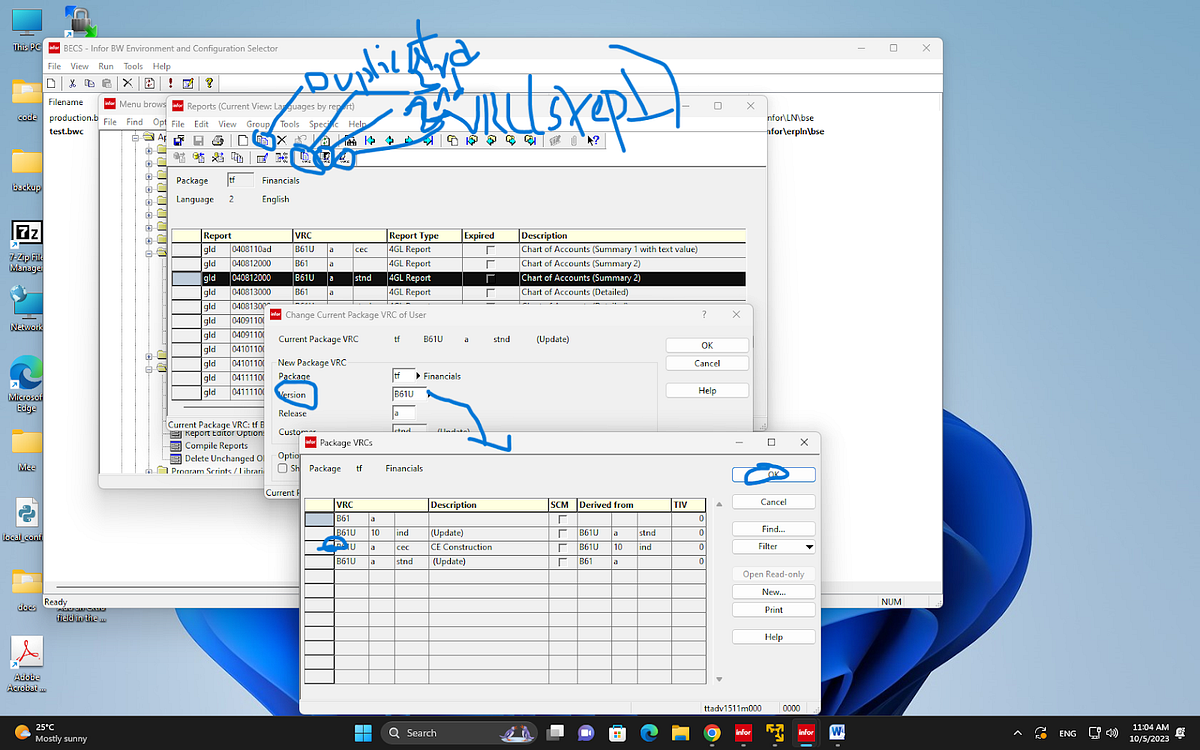Add an extra field in the print format Infor LN | by Anjana Dhakal ...
