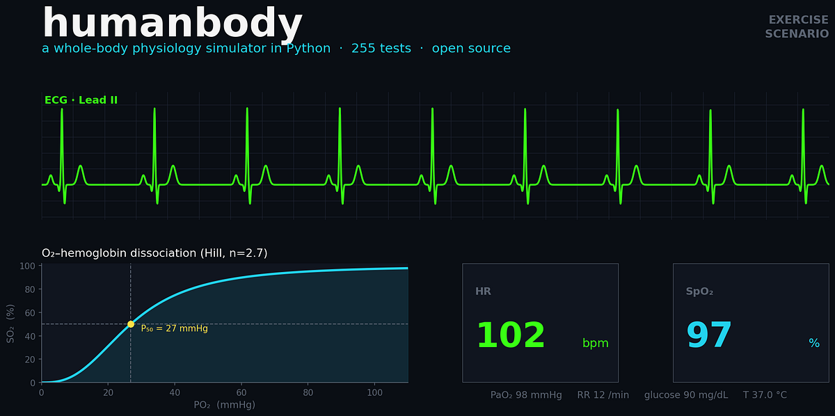 I Simulated an Entire Human Body in Python: From Ion Channels to Sepsis ...