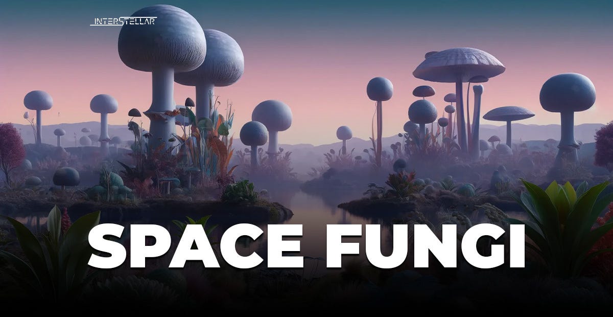The Role of Fungi in Space Exploration: How Mycelium Could Build ...