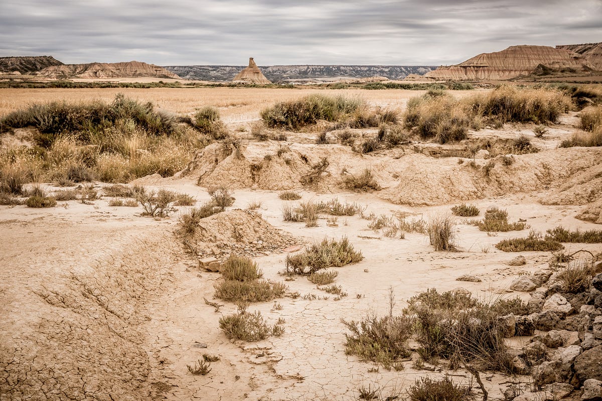 Water Scarcity: A Global Problem. Imagine a world without water. No ...