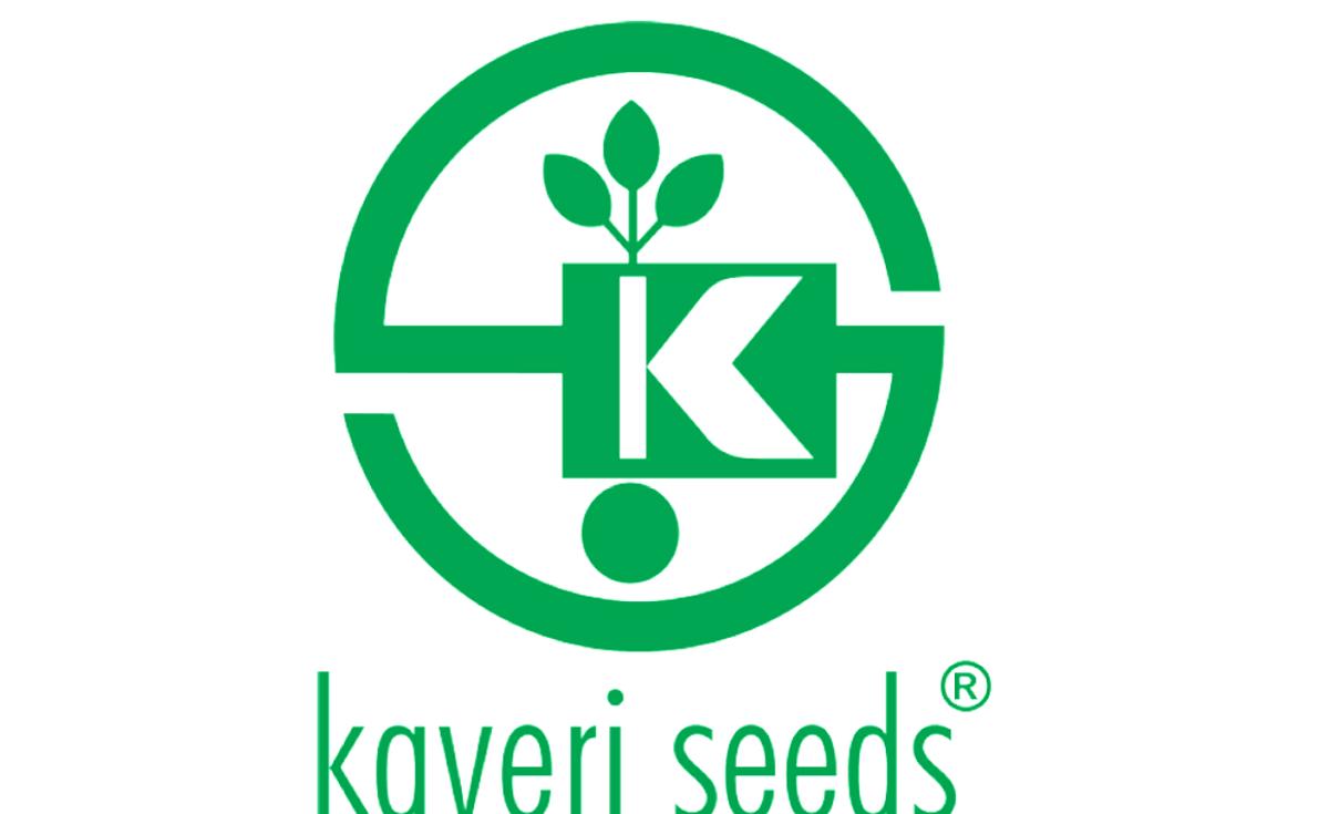 Kaveri Seed Company Fundamental Analysis and Future Outlook | by Aryan ...